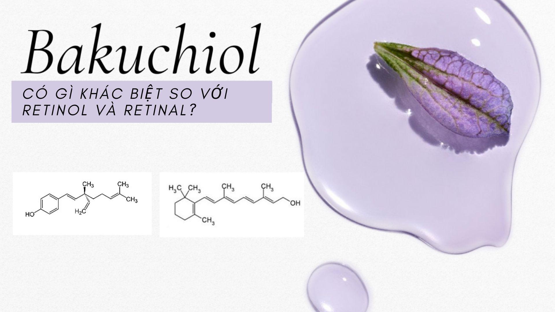 Bakuchiol là gì? Công dụng, cách dùng và những lưu ý về Bakuchiol trong ...