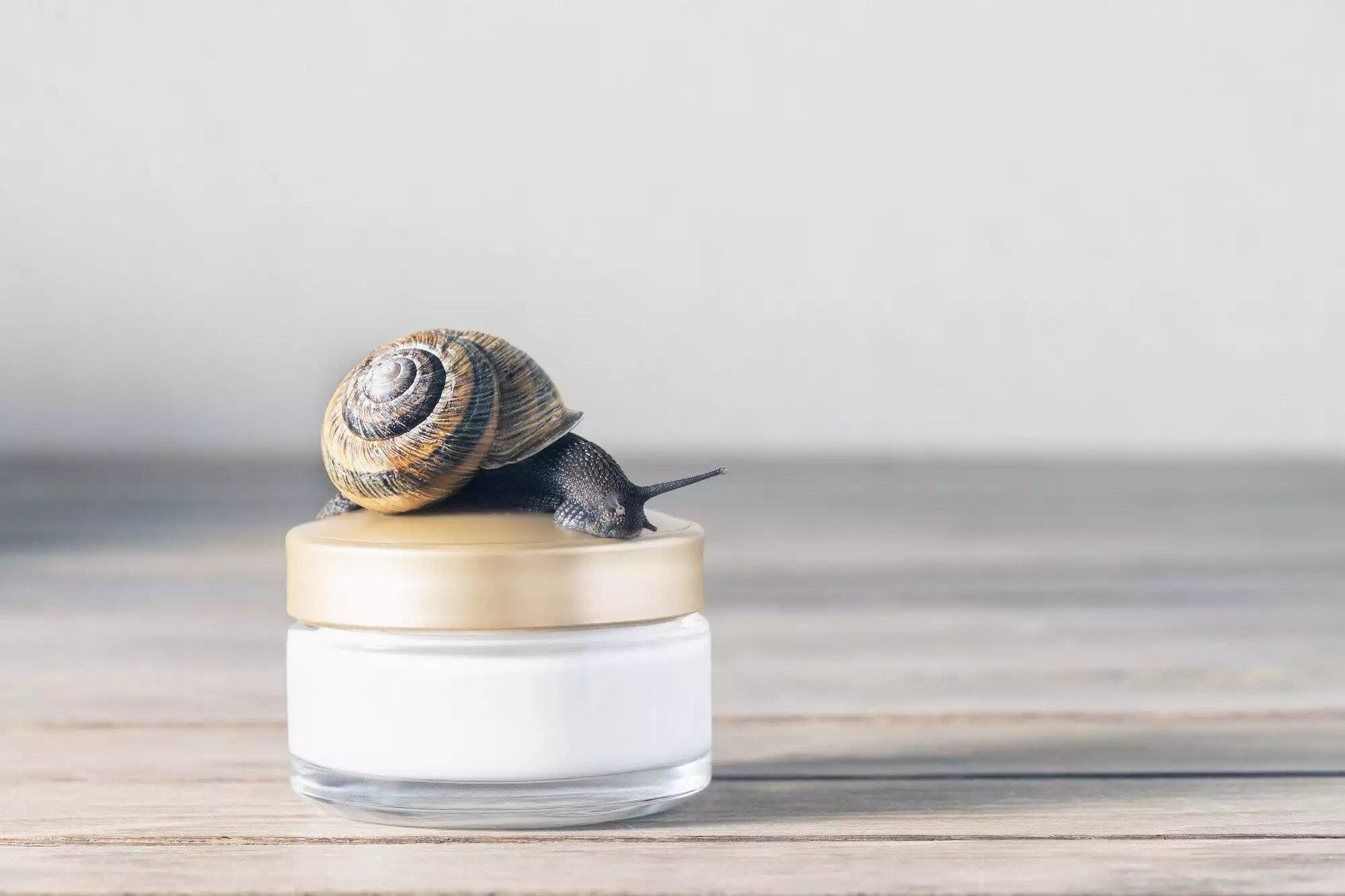 Snail Mucin là gì? Công dụng và cách sử dụng Snail Mucin trong làm đẹp ...