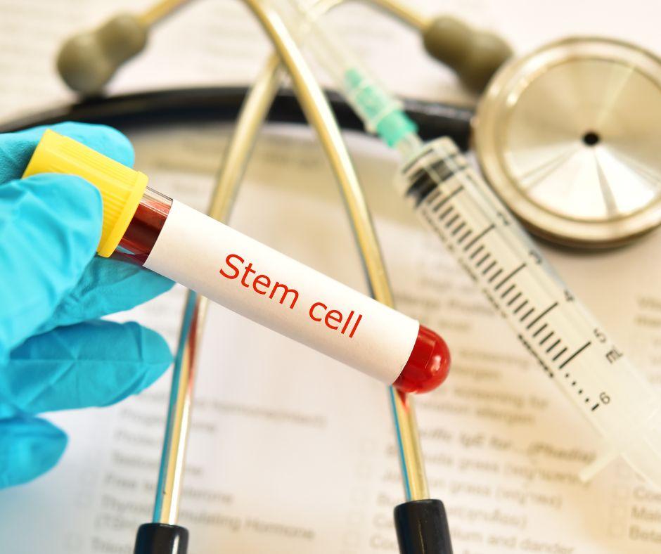 Stem Cell là gì? Vai trò và ứng dụng Stem Cell trong làm đẹp - Beaudy.vn