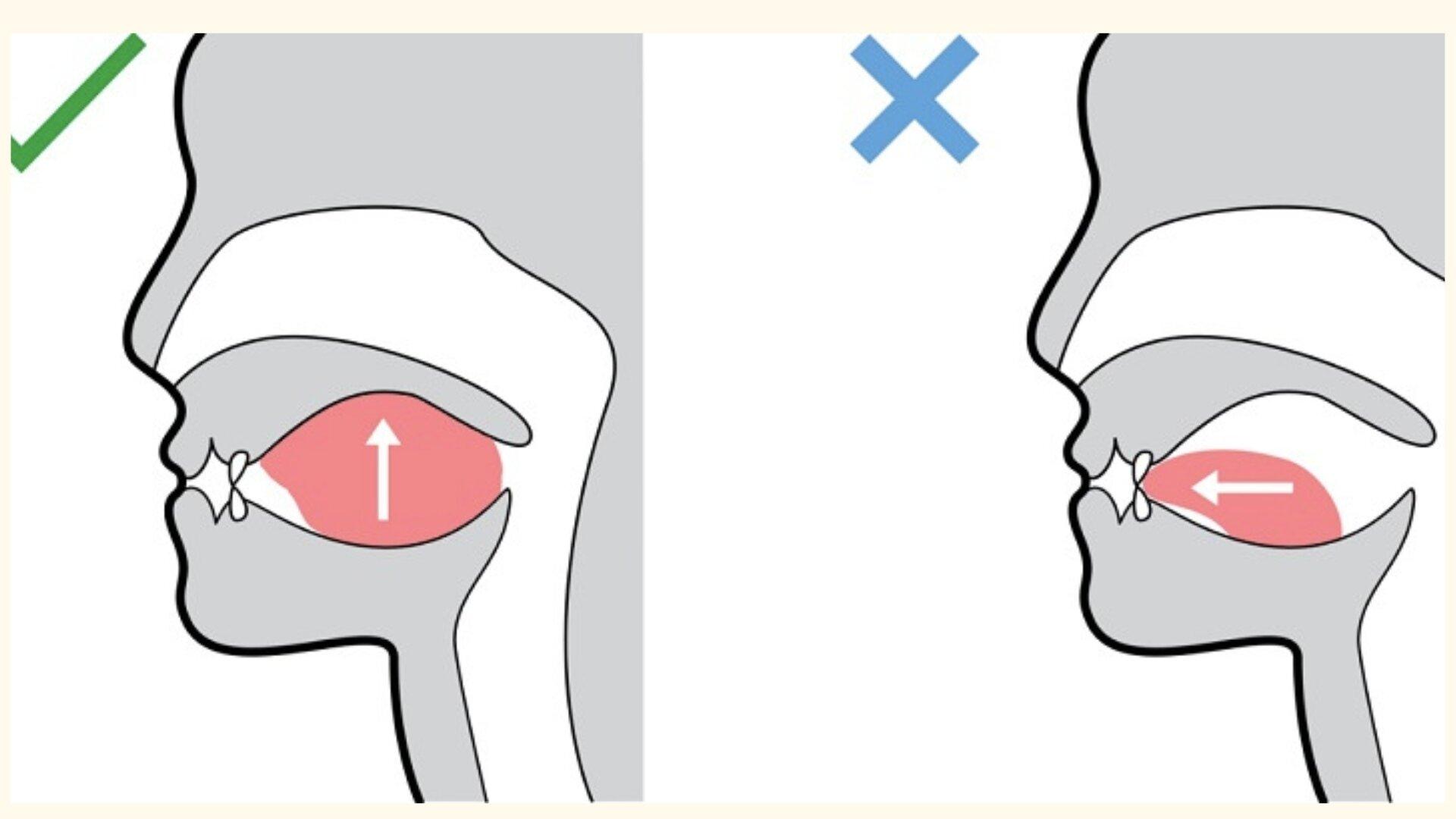 Phương pháp Mewing là gì? Cách áp dụng Mewing đúng cách và giúp mặt ...